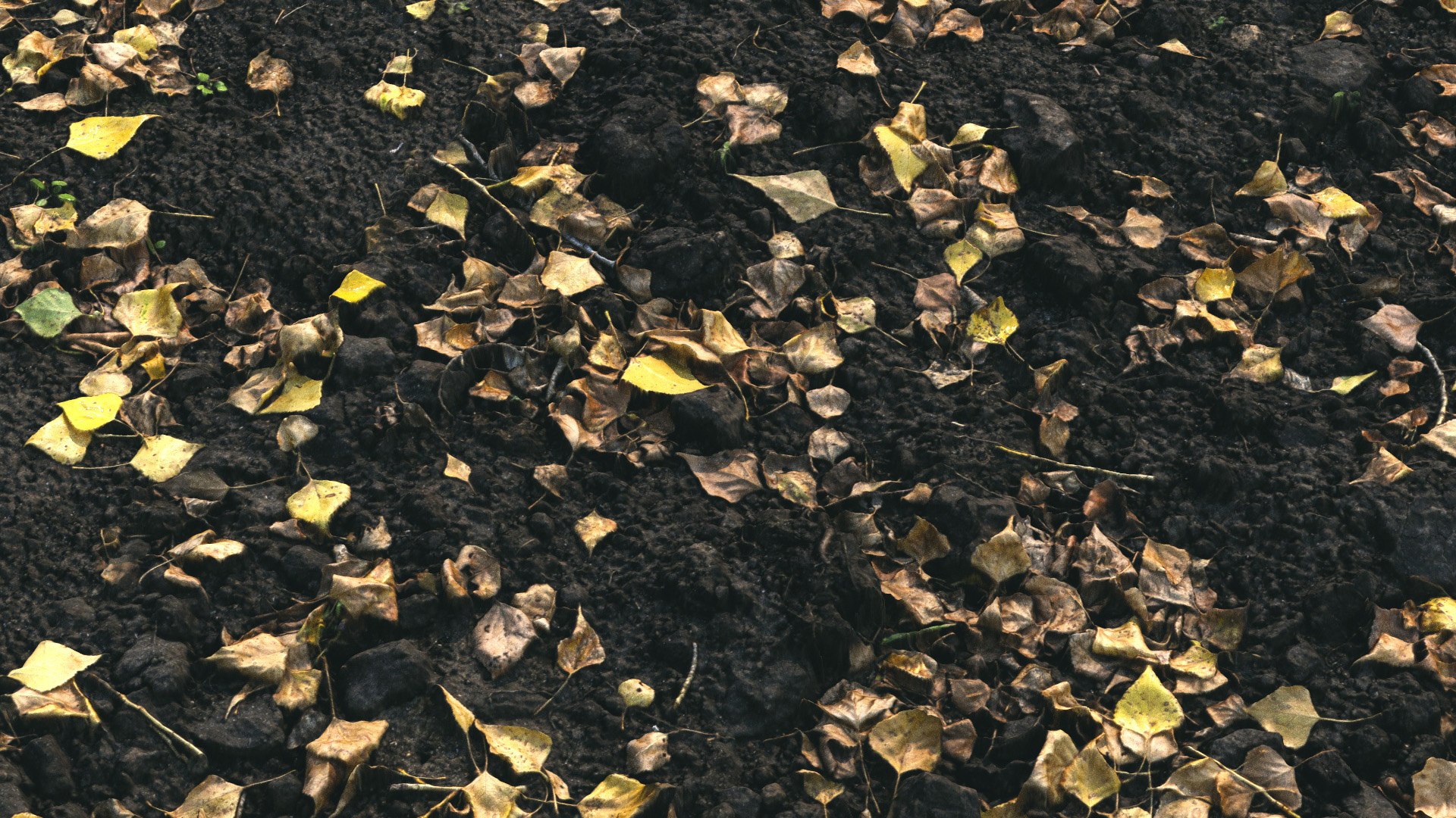 3D Autumn Foliage Material 05 Model - TurboSquid 2119086