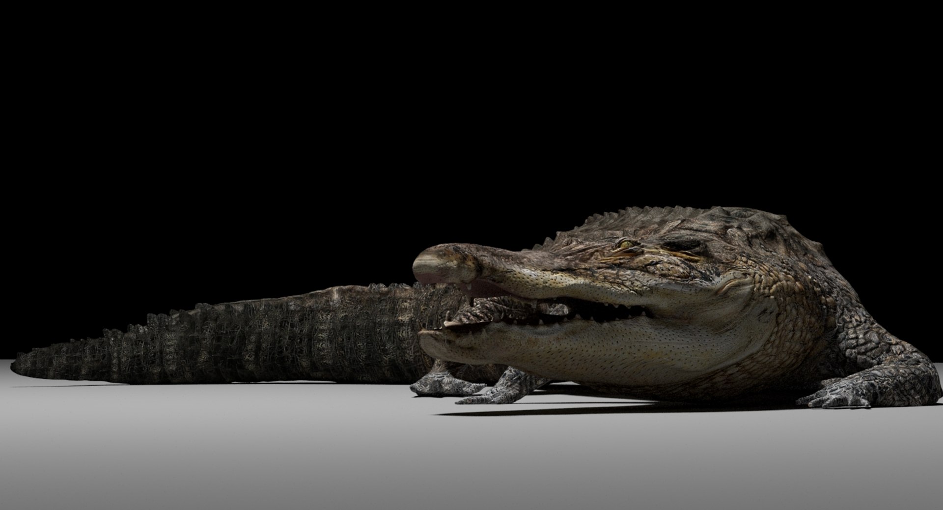 3D Realistic Crocodile Rigged Model - TurboSquid 1402880
