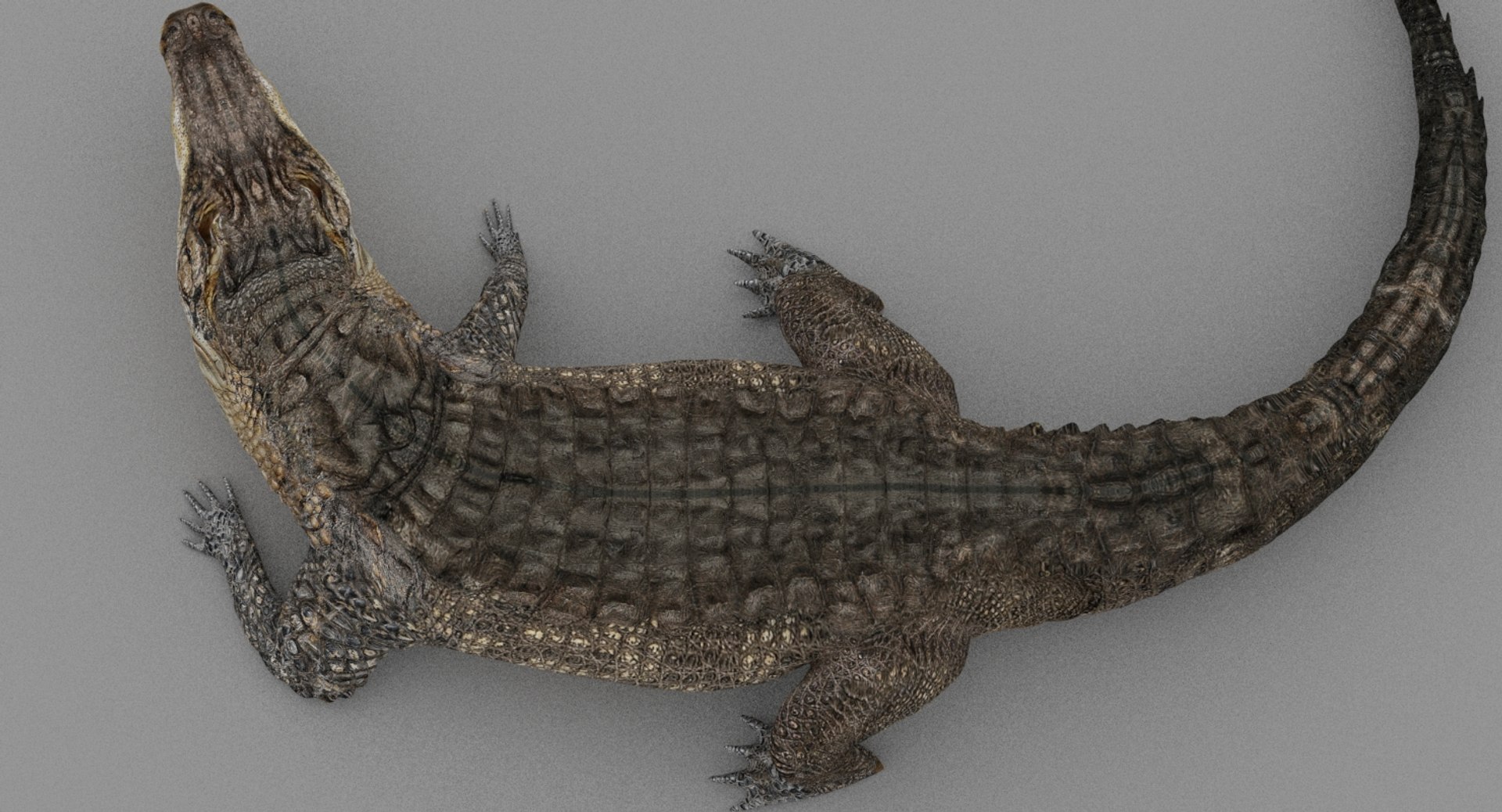 3D Realistic Crocodile Rigged Model - TurboSquid 1402880