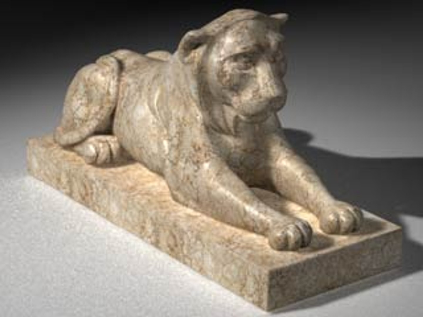 Lion C4d