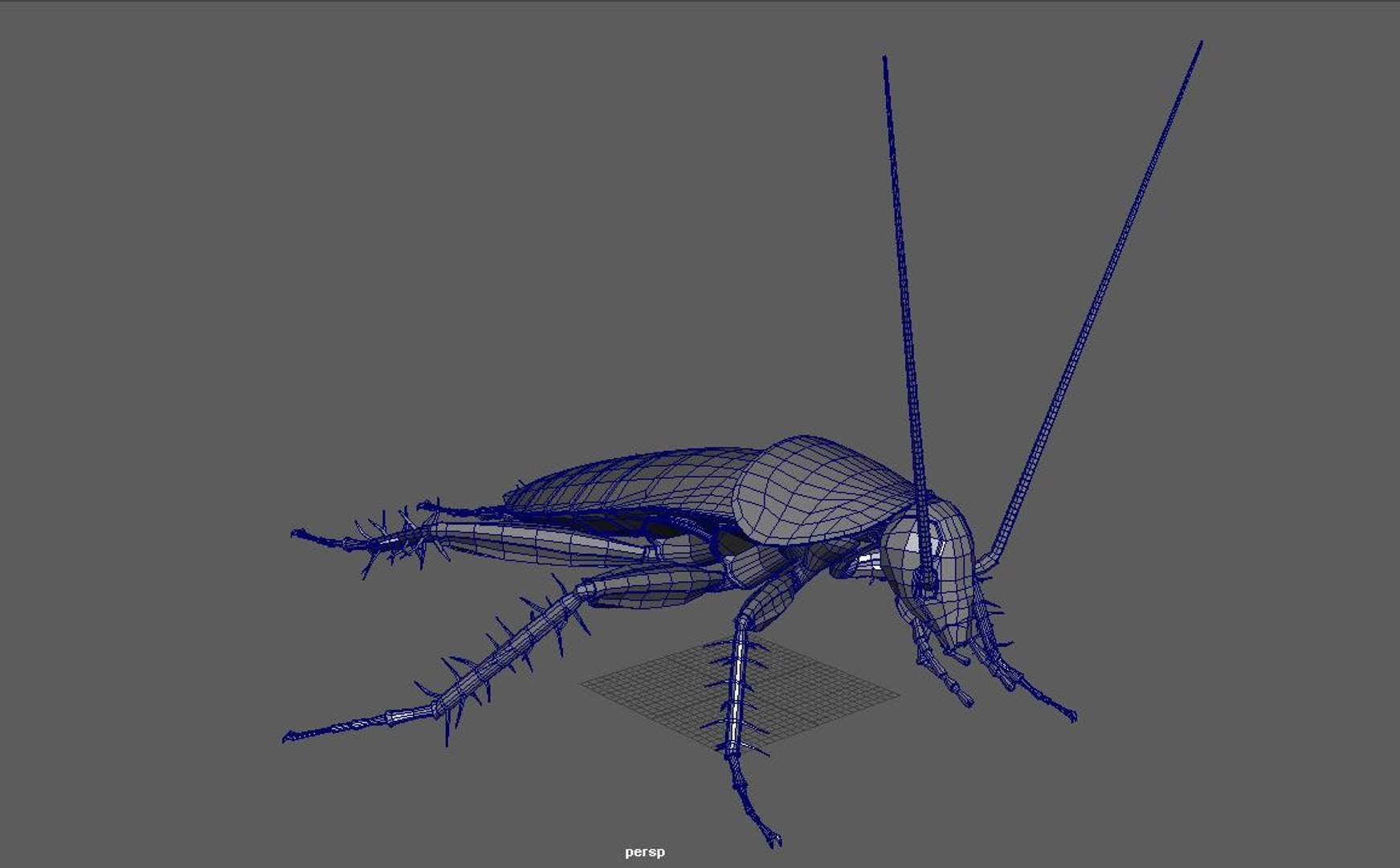 Cockroach Set Model - TurboSquid 1413371