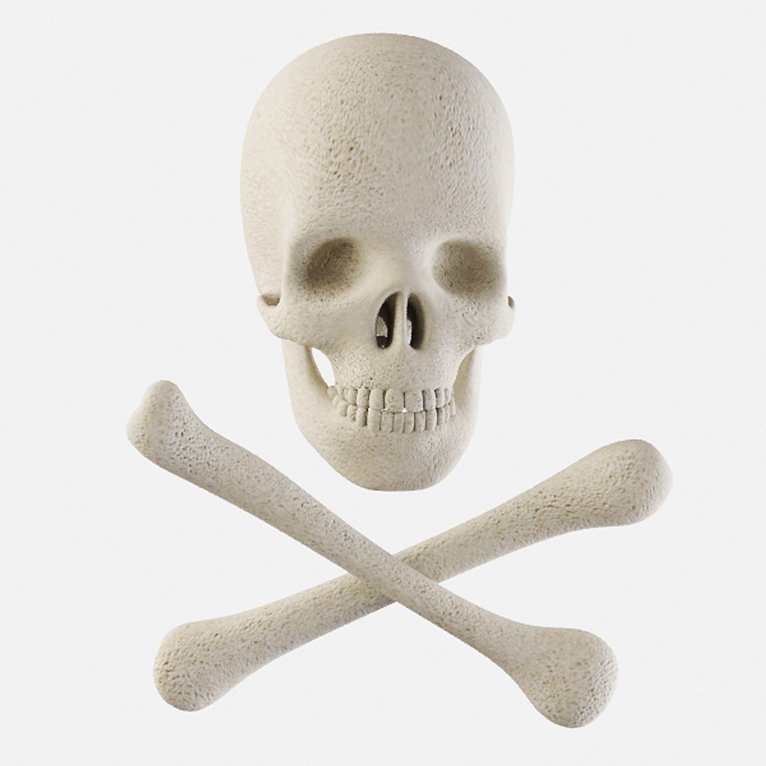 3d Model Skull Crossbones