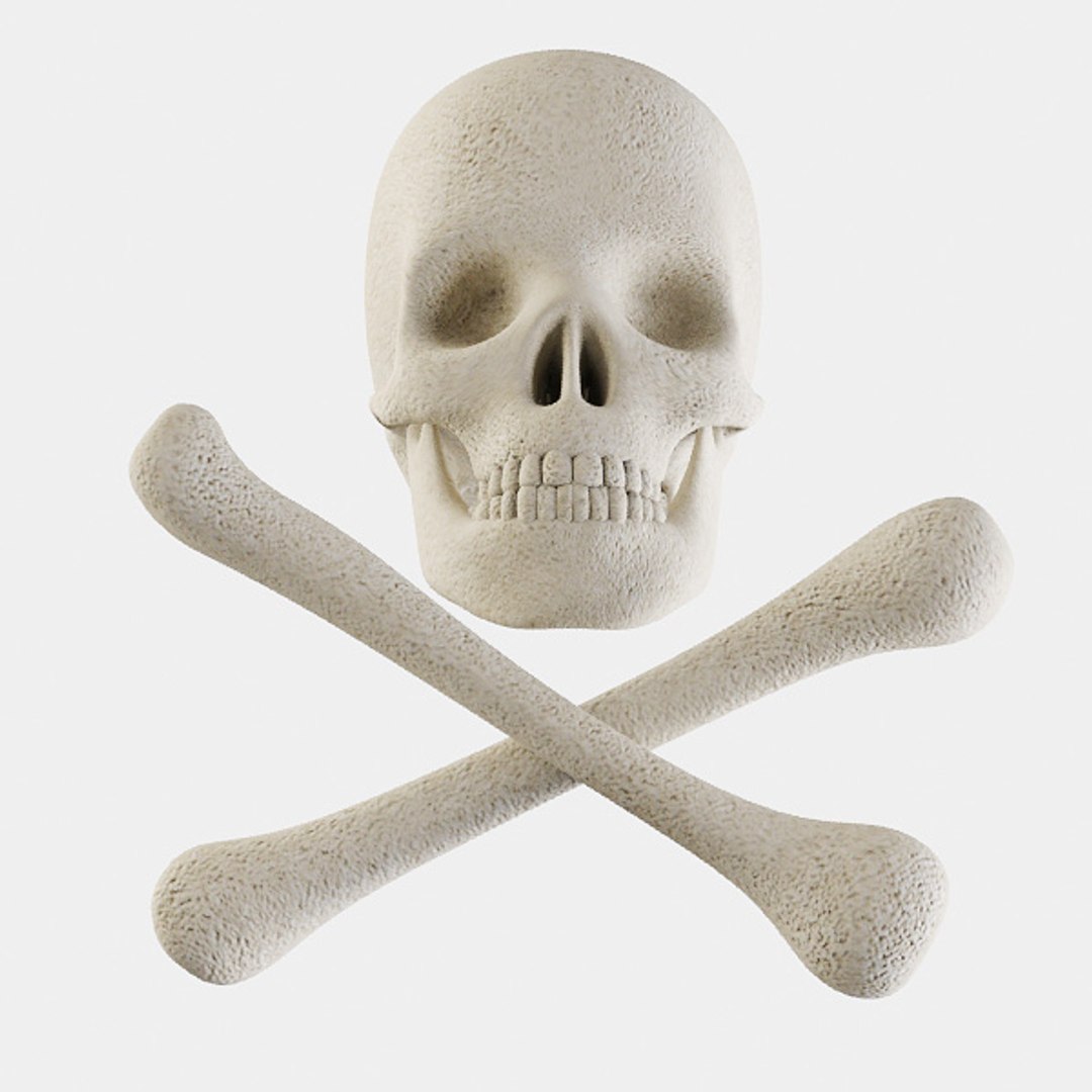 3d Model Skull Crossbones