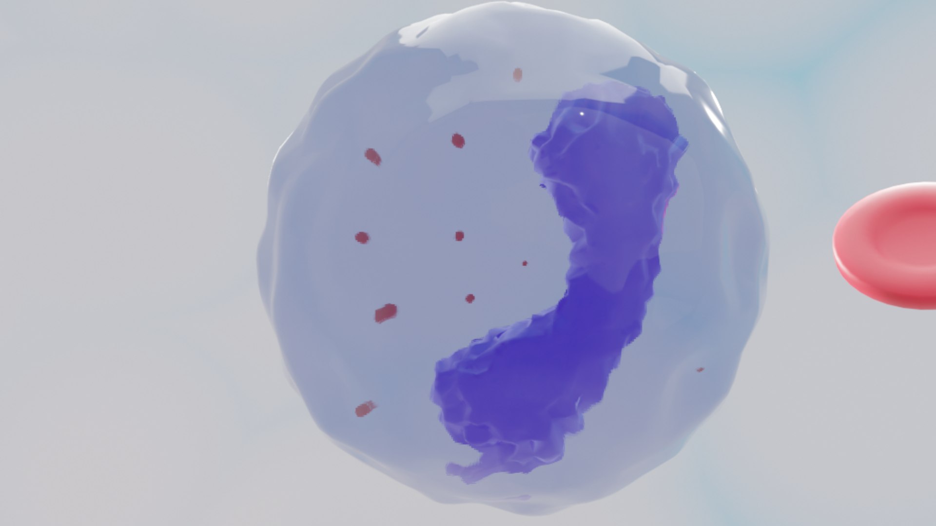 3D Blood Cell - TurboSquid 1716459