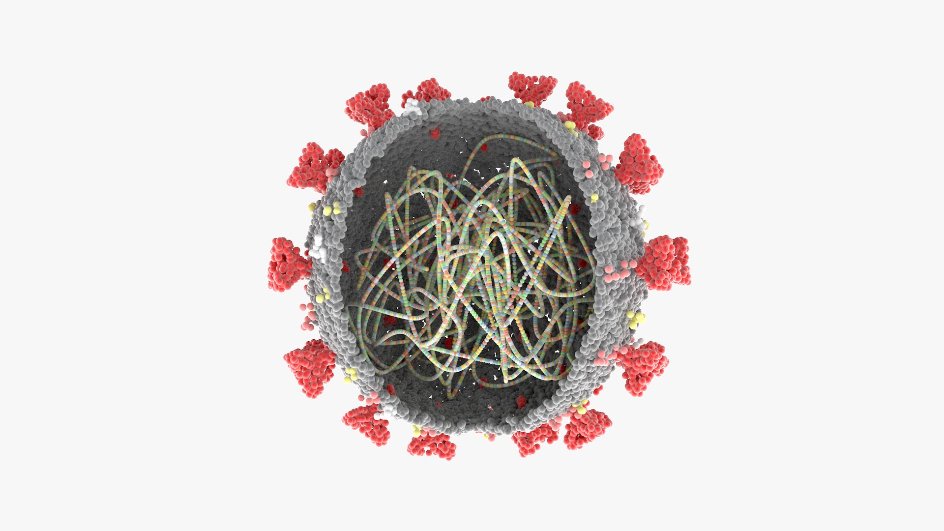 3D Covid Virus - TurboSquid 2364727