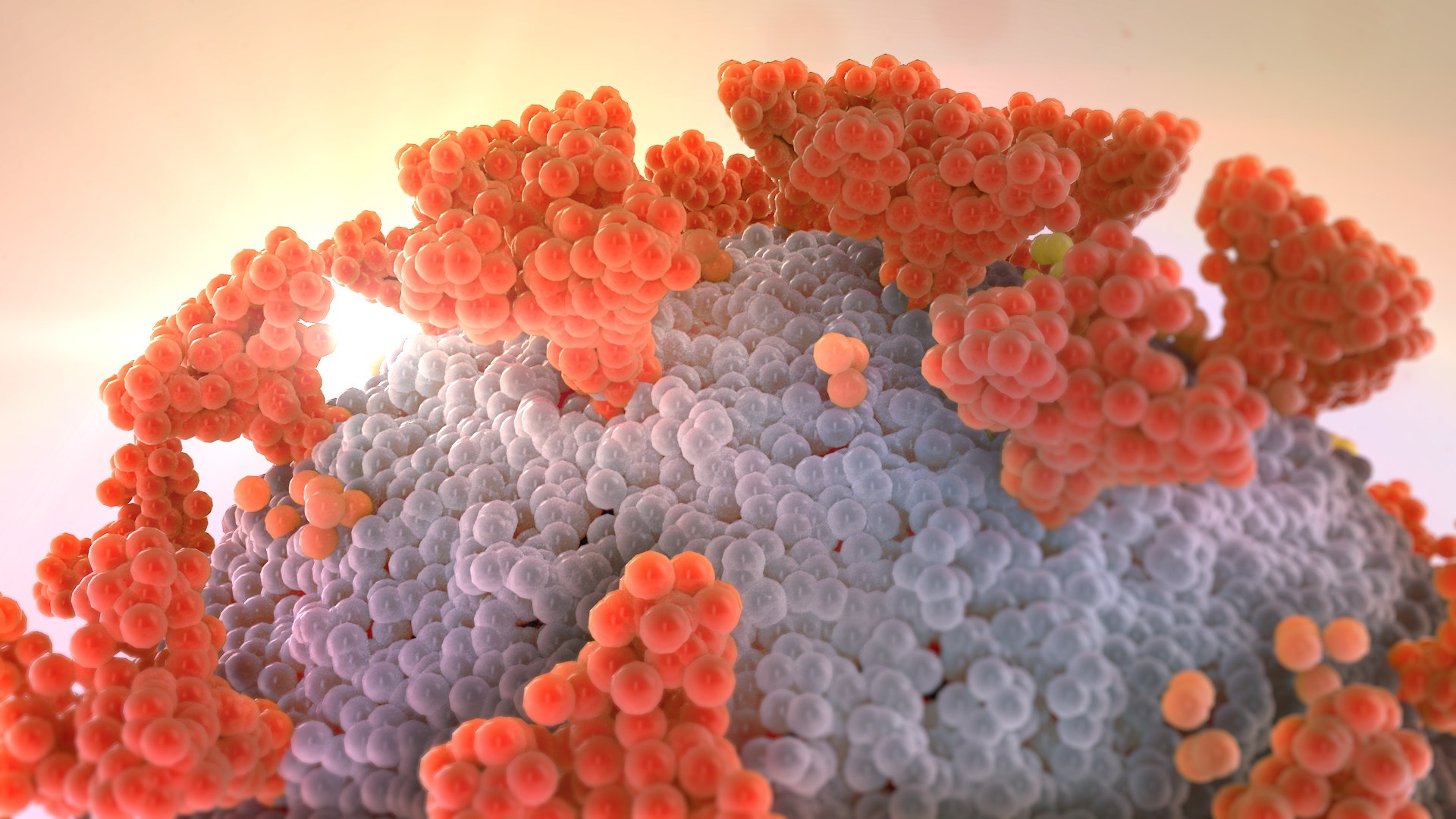 3D Covid Virus - TurboSquid 2364727