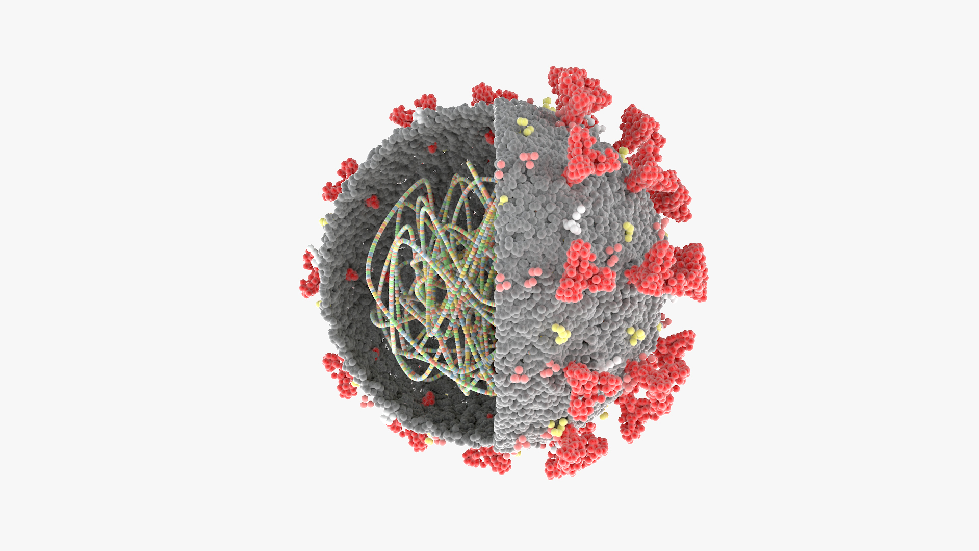 3D Covid Virus - TurboSquid 2364727