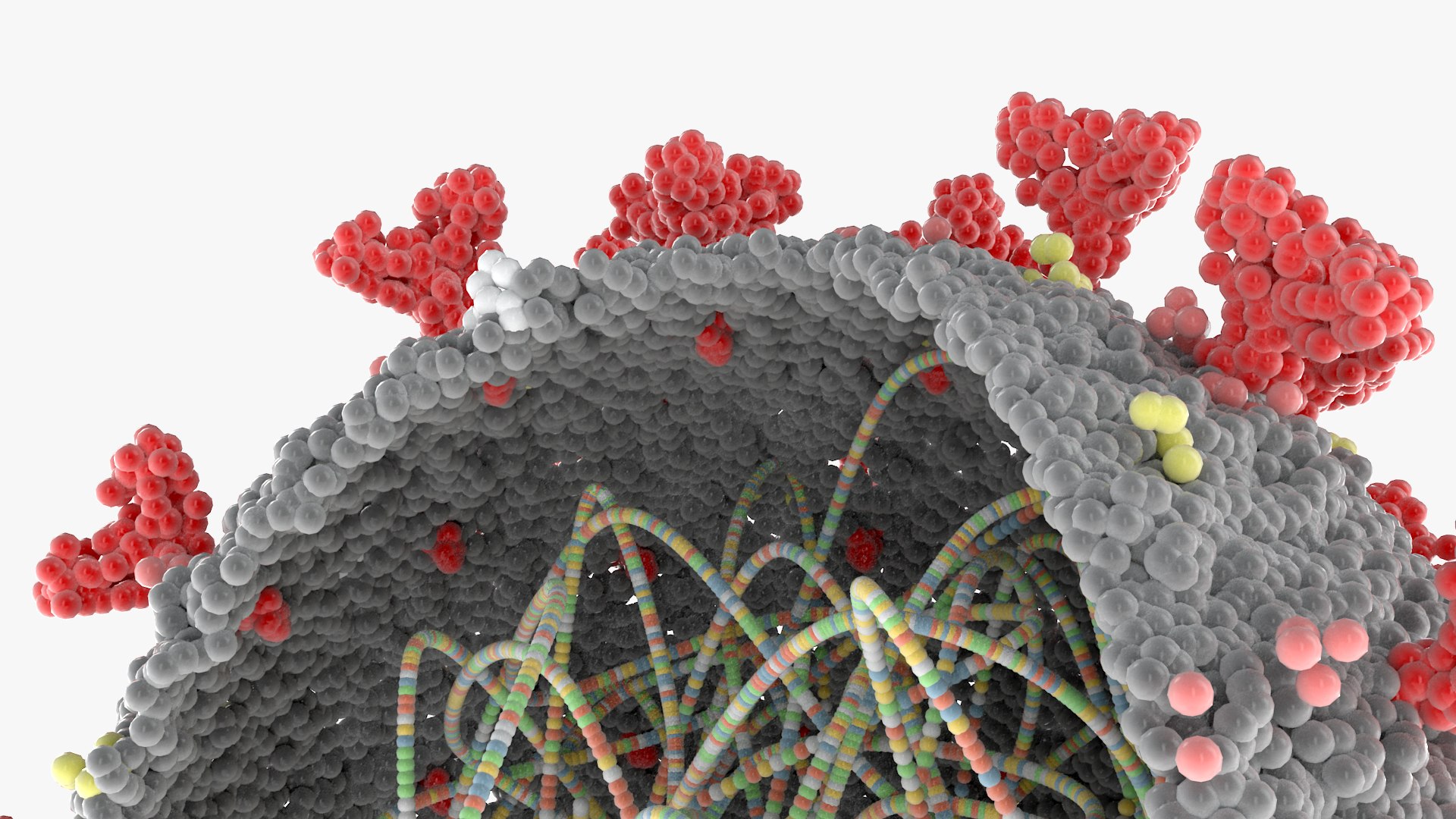 3D Covid Virus - TurboSquid 2364727