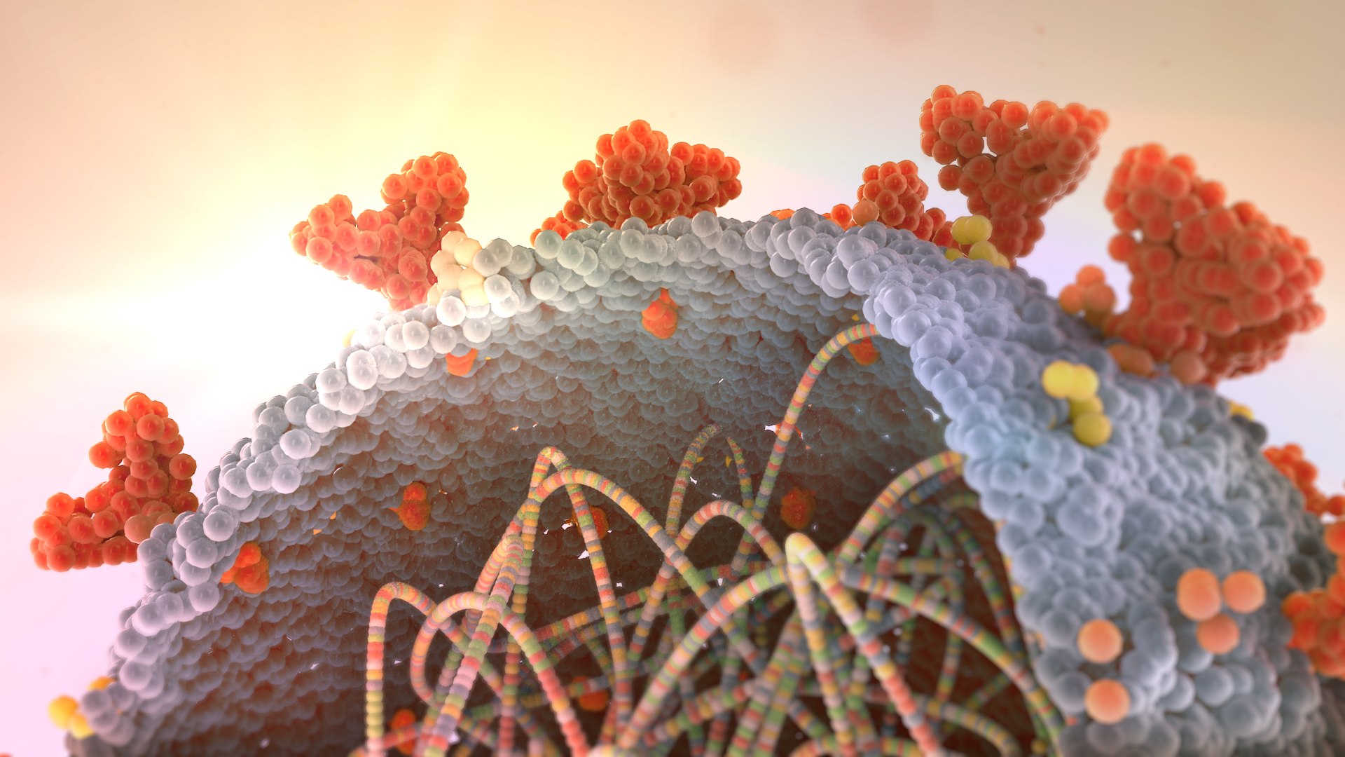 3D Covid Virus - TurboSquid 2364727