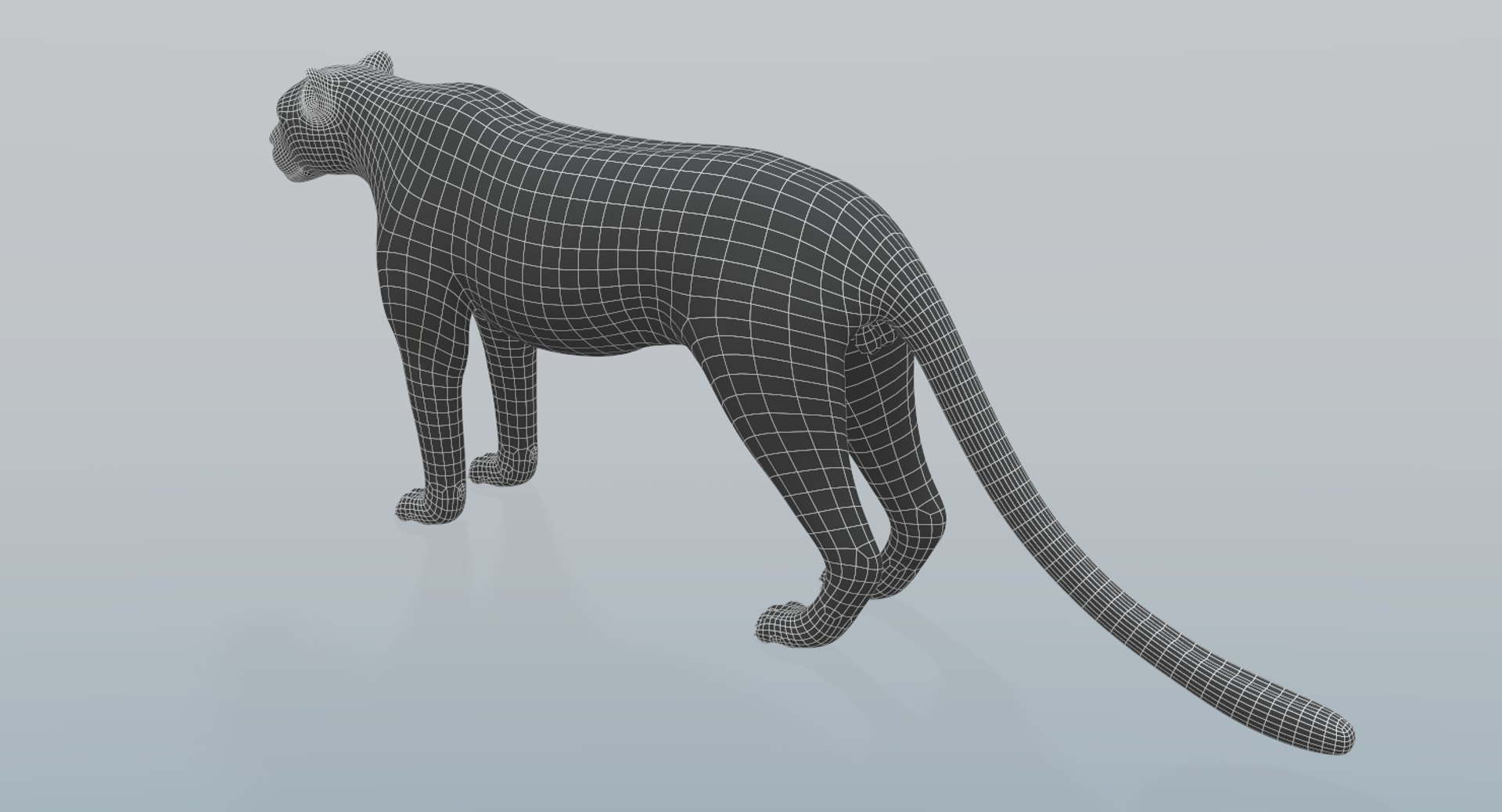 3D Model Leopard V-ray - TurboSquid 1227252