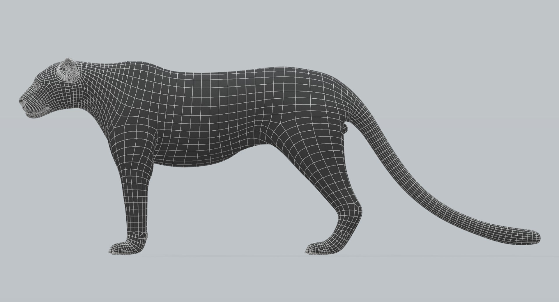 3D Model Leopard V-ray - TurboSquid 1227252