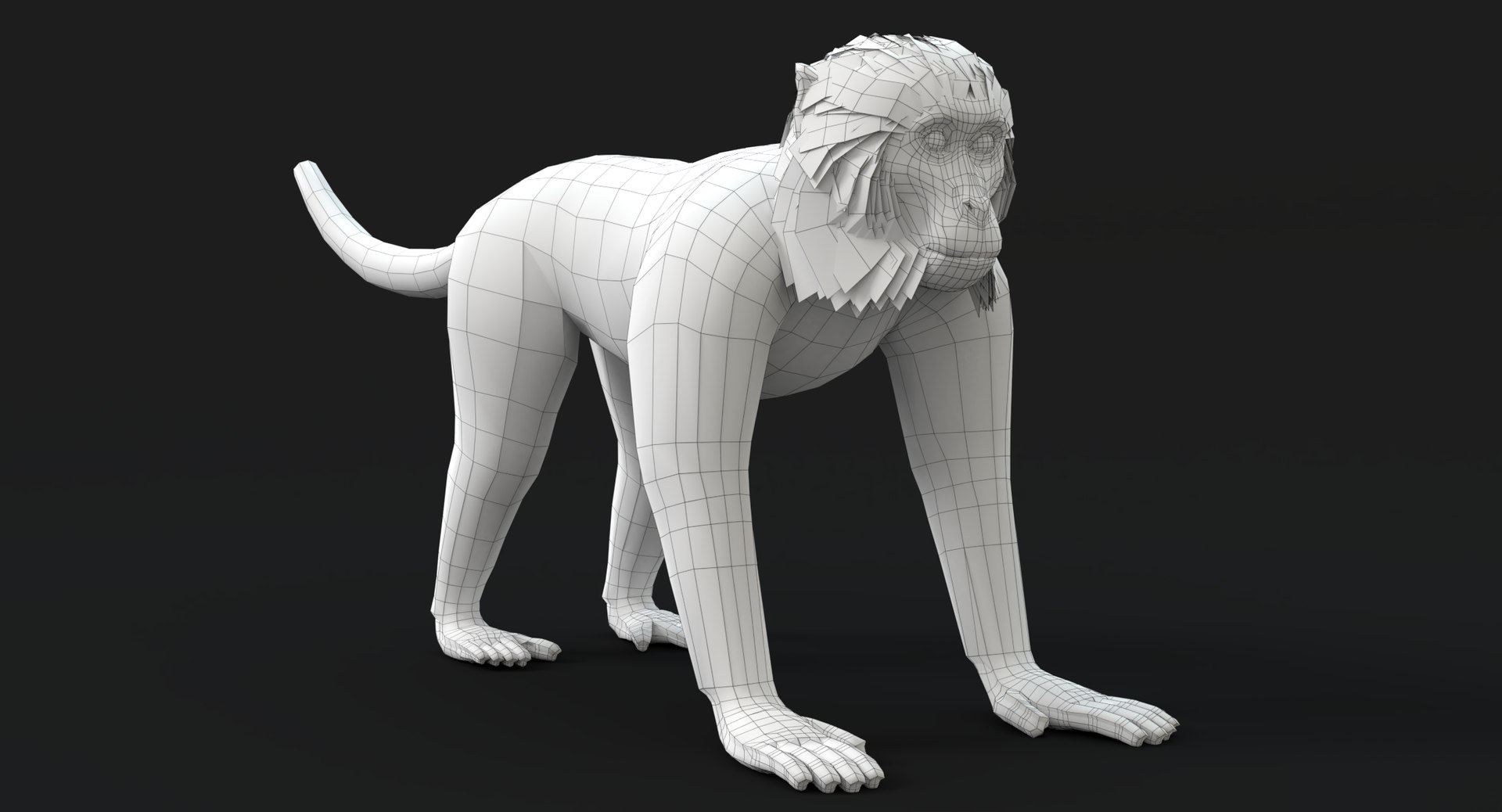 3D Monkey Animations 2 Model - TurboSquid 1384685