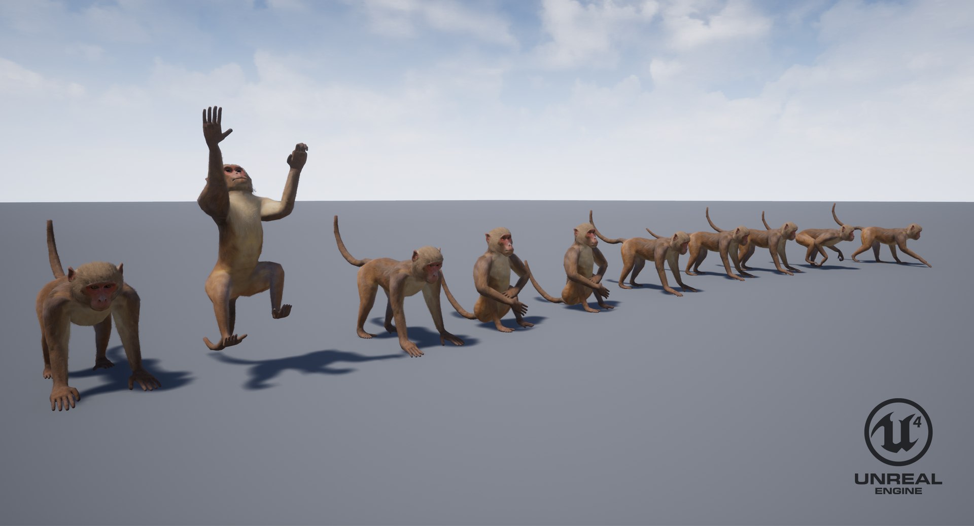 3D monkey animations 2 model - TurboSquid 1384685