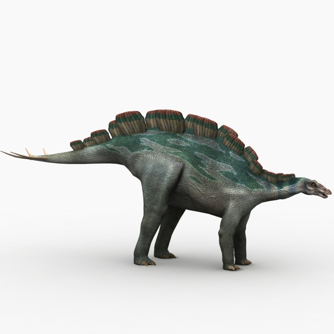 Wuerhosaurus Dinosaur Animation Max