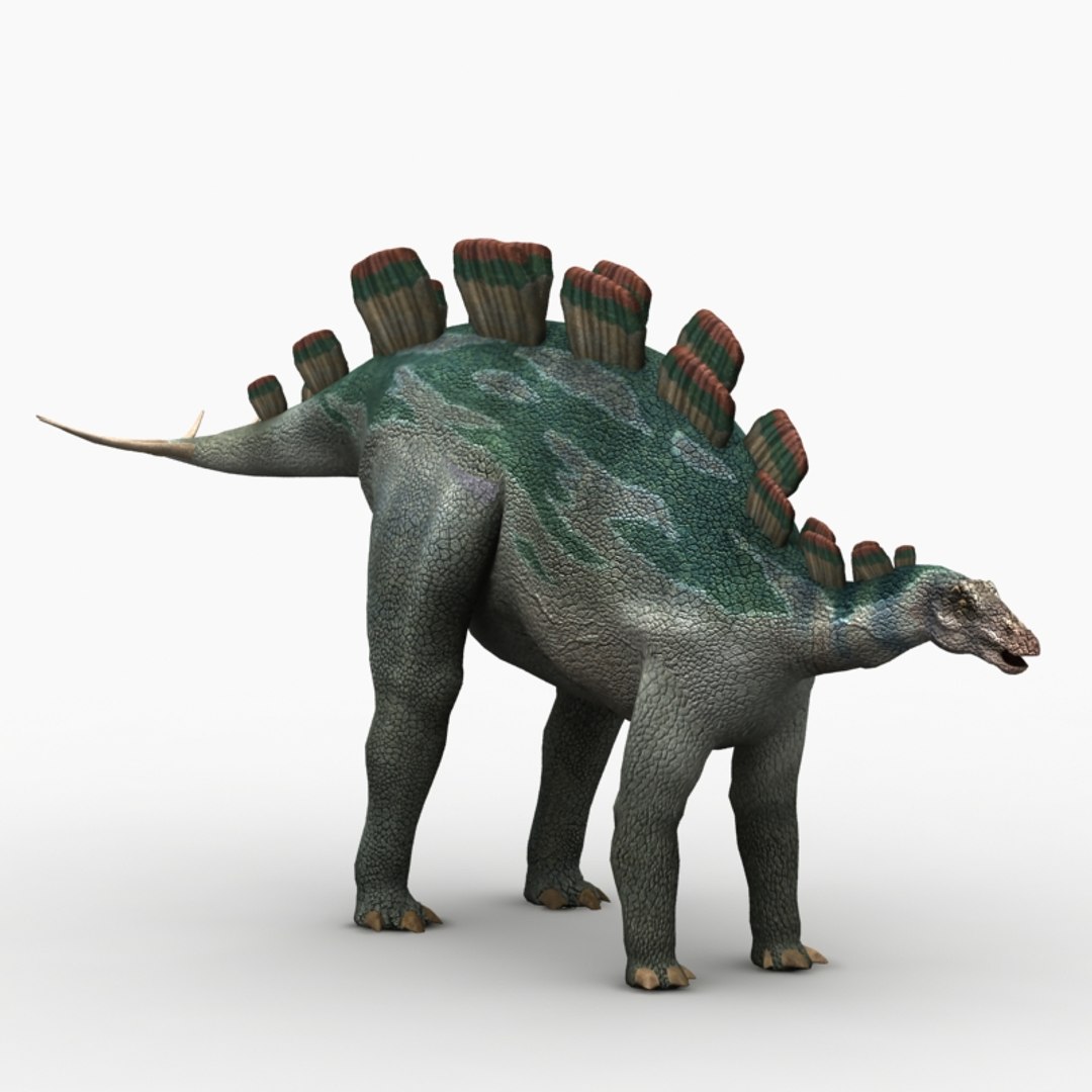 Wuerhosaurus Dinosaur Animation Max