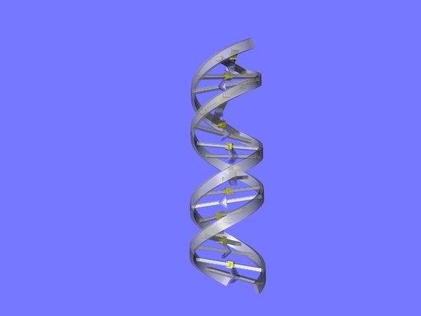 Free DNA 3D Models for Download | TurboSquid