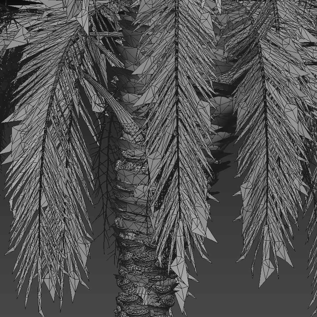 3D Set Of Phoenix Dactylifera Palm Or Date Palm Tree - 4 Trees ...