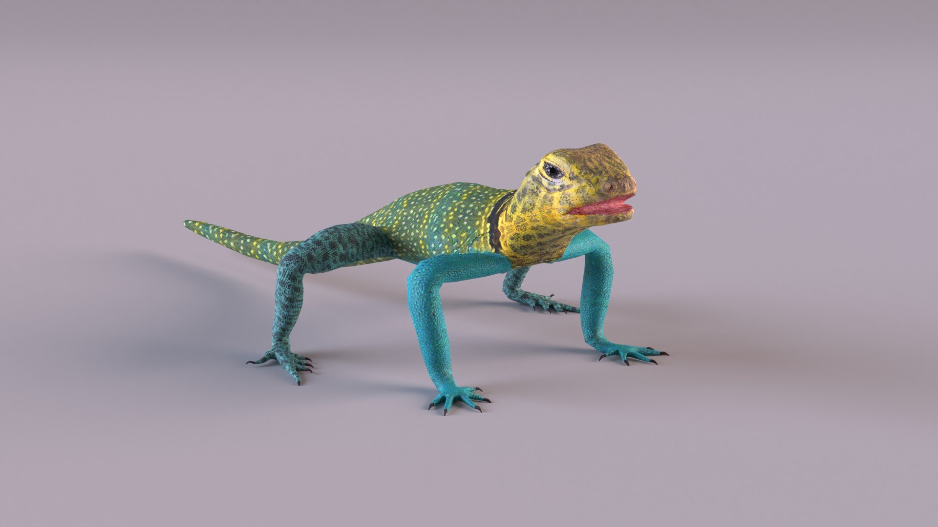 3D Collared Lizard Model - TurboSquid 1226901