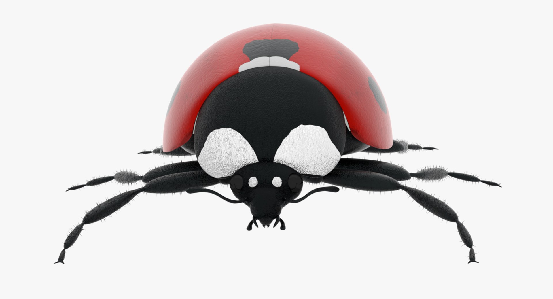 3D Model Ladybug - TurboSquid 1284194