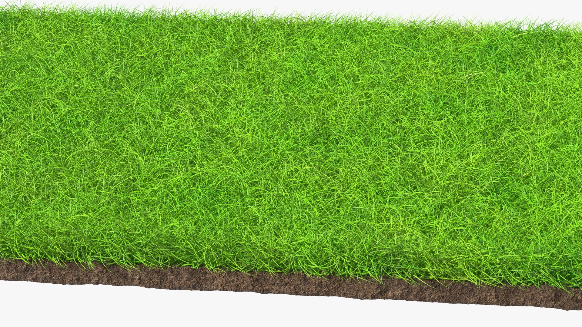 3D Lawn Turf Roll Unfolded Fur - TurboSquid 1882219