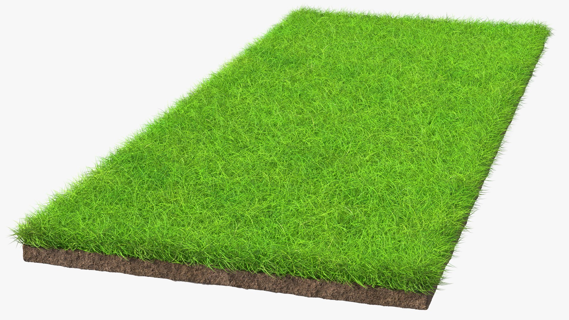 3D Lawn Turf Roll Unfolded Fur - TurboSquid 1882219