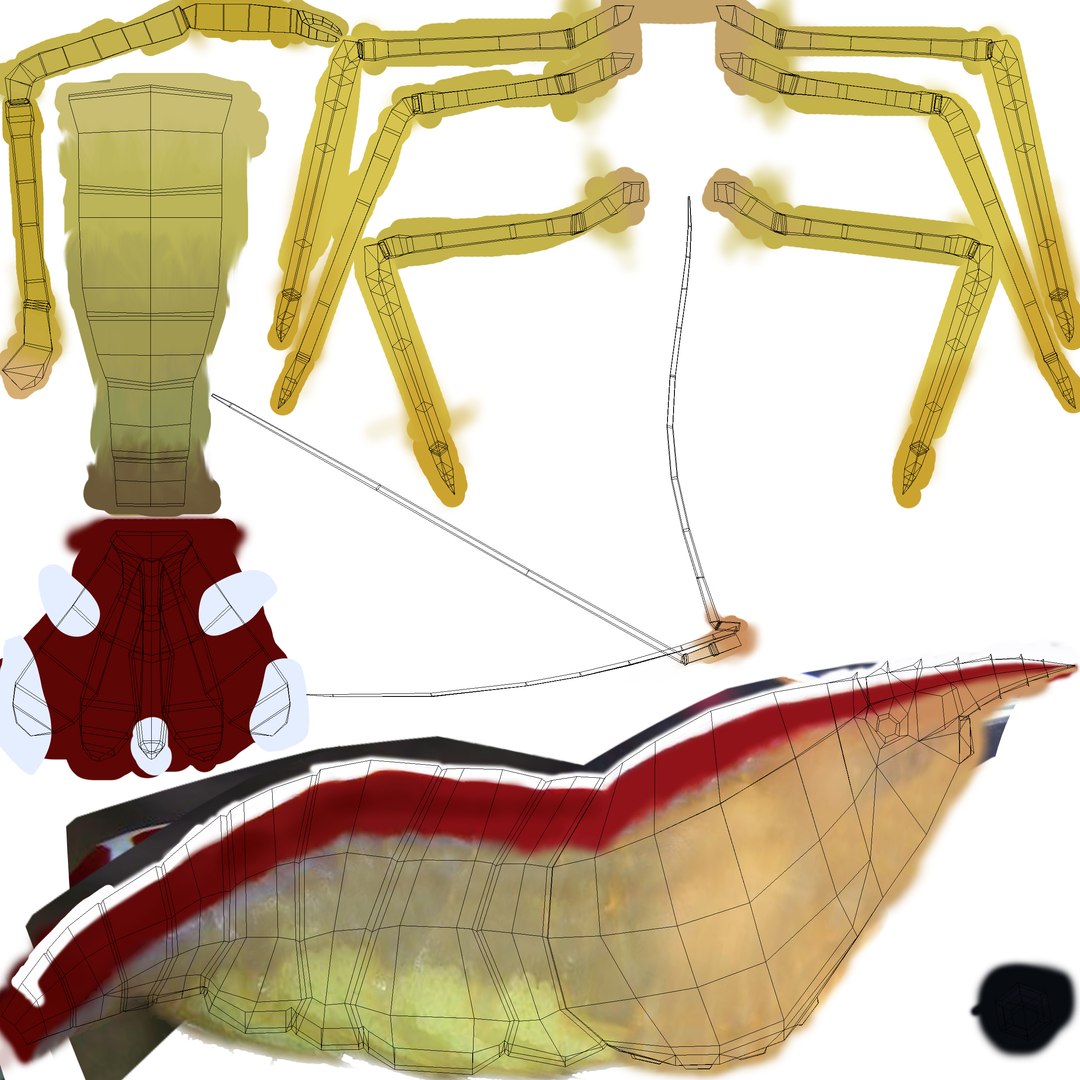 Cleaner Shrimp 3ds