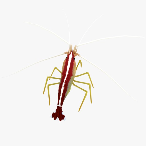 cleaner shrimp 3ds