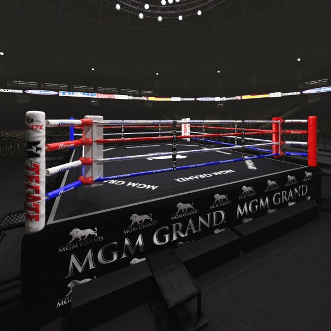 3D Model Interior Boxing Arena - TurboSquid 1178750