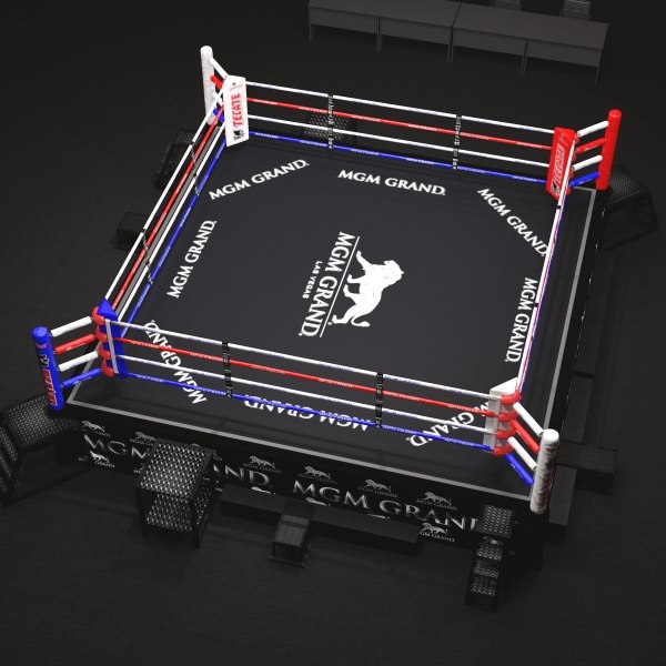 3D model interior boxing arena - TurboSquid 1178750
