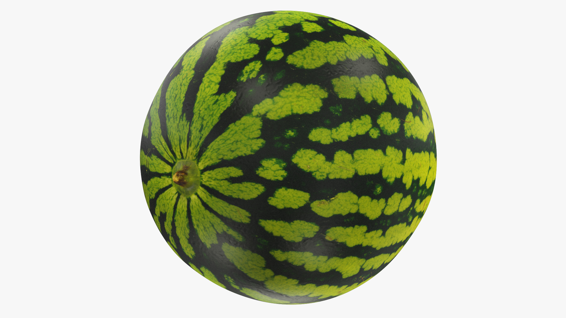 Watermelon V1 Model - TurboSquid 2221394