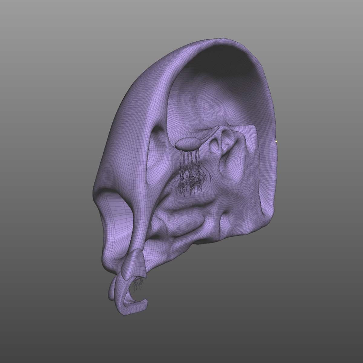 Head human nose 3D model - TurboSquid 1520708