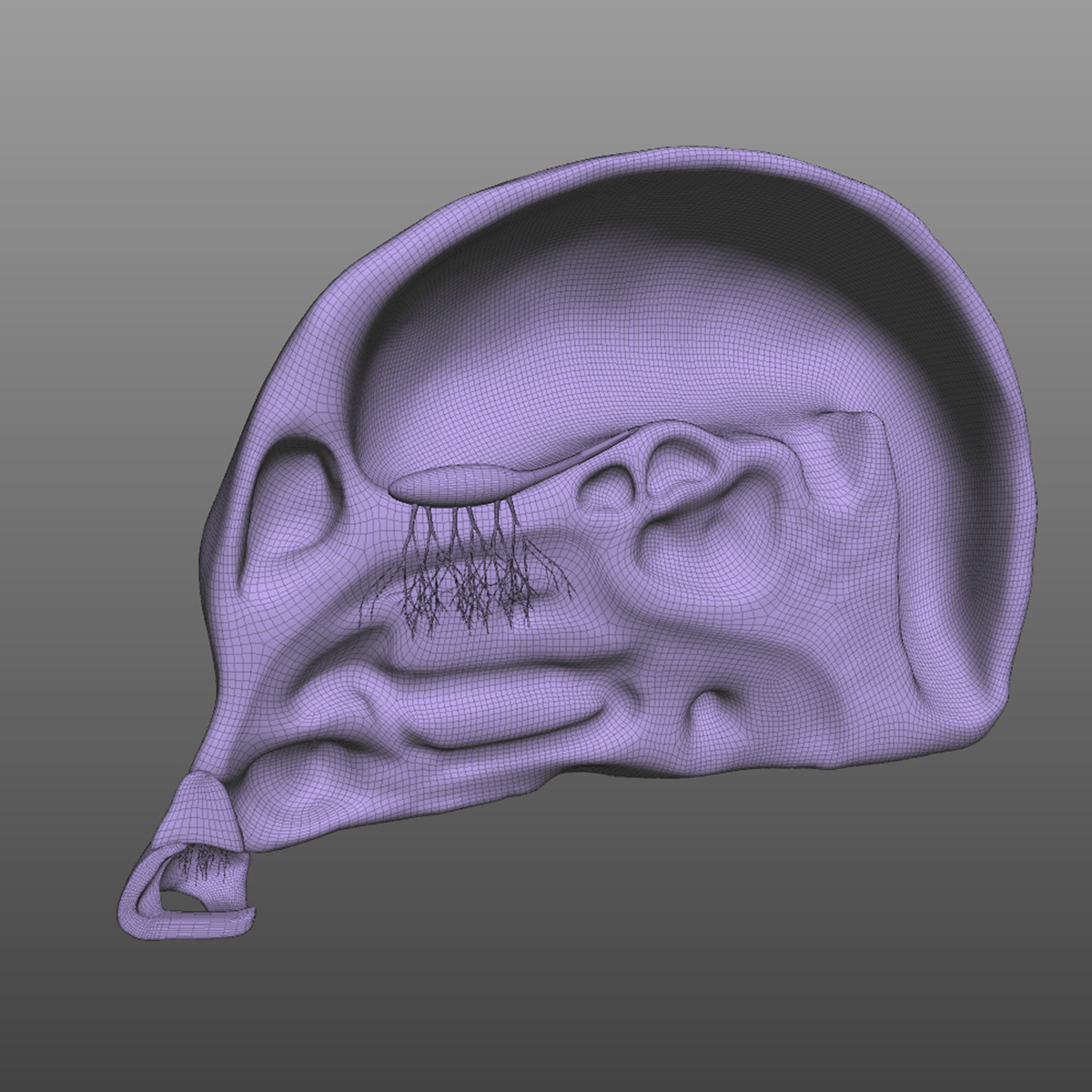Head human nose 3D model - TurboSquid 1520708