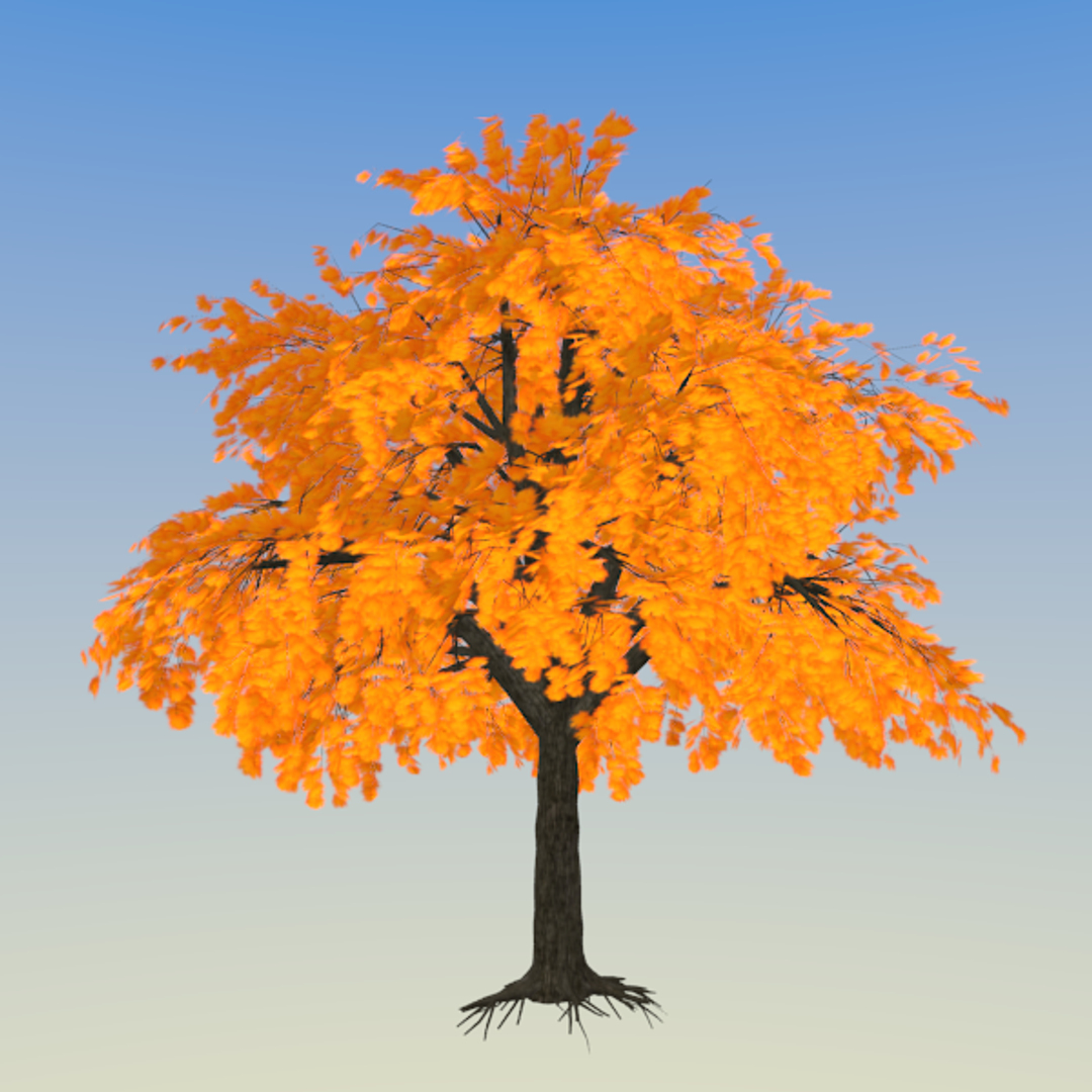 maple tree fbx