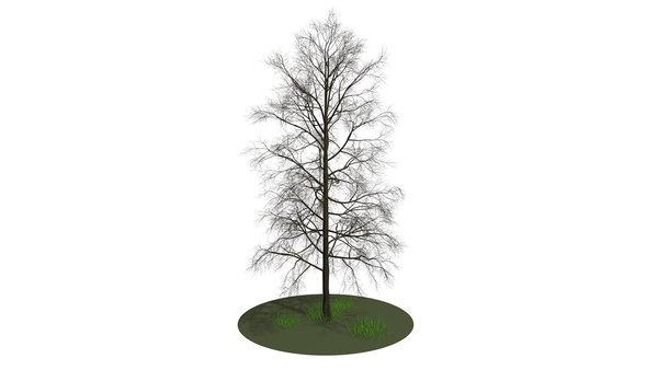 Big tree 3D - TurboSquid 1602283