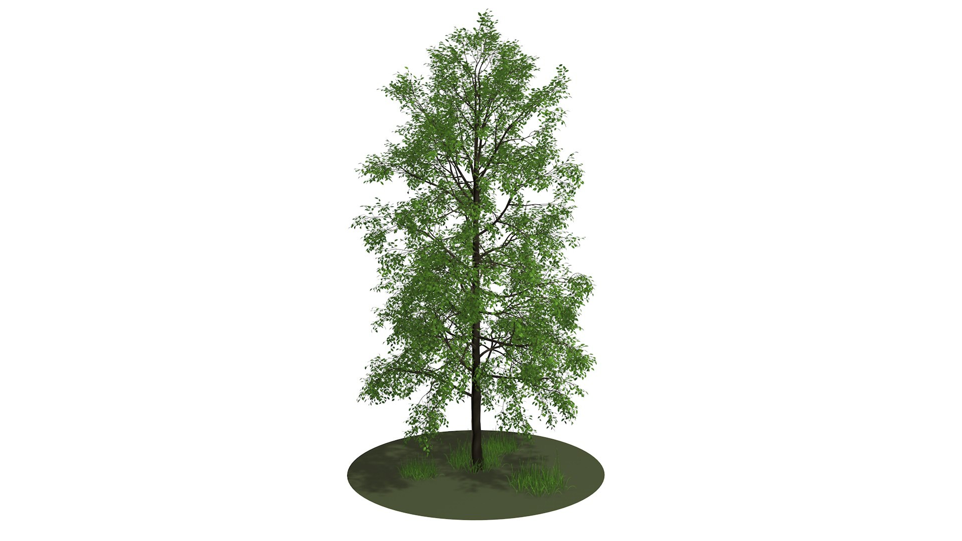 Big Tree 3D - TurboSquid 1602283
