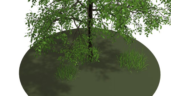 Big tree 3D - TurboSquid 1602283