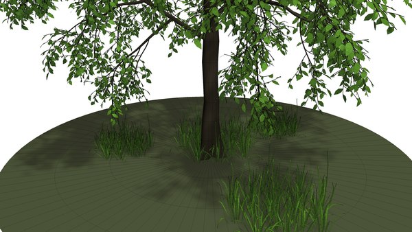 Big tree 3D - TurboSquid 1602283
