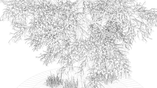 Big tree 3D - TurboSquid 1602283