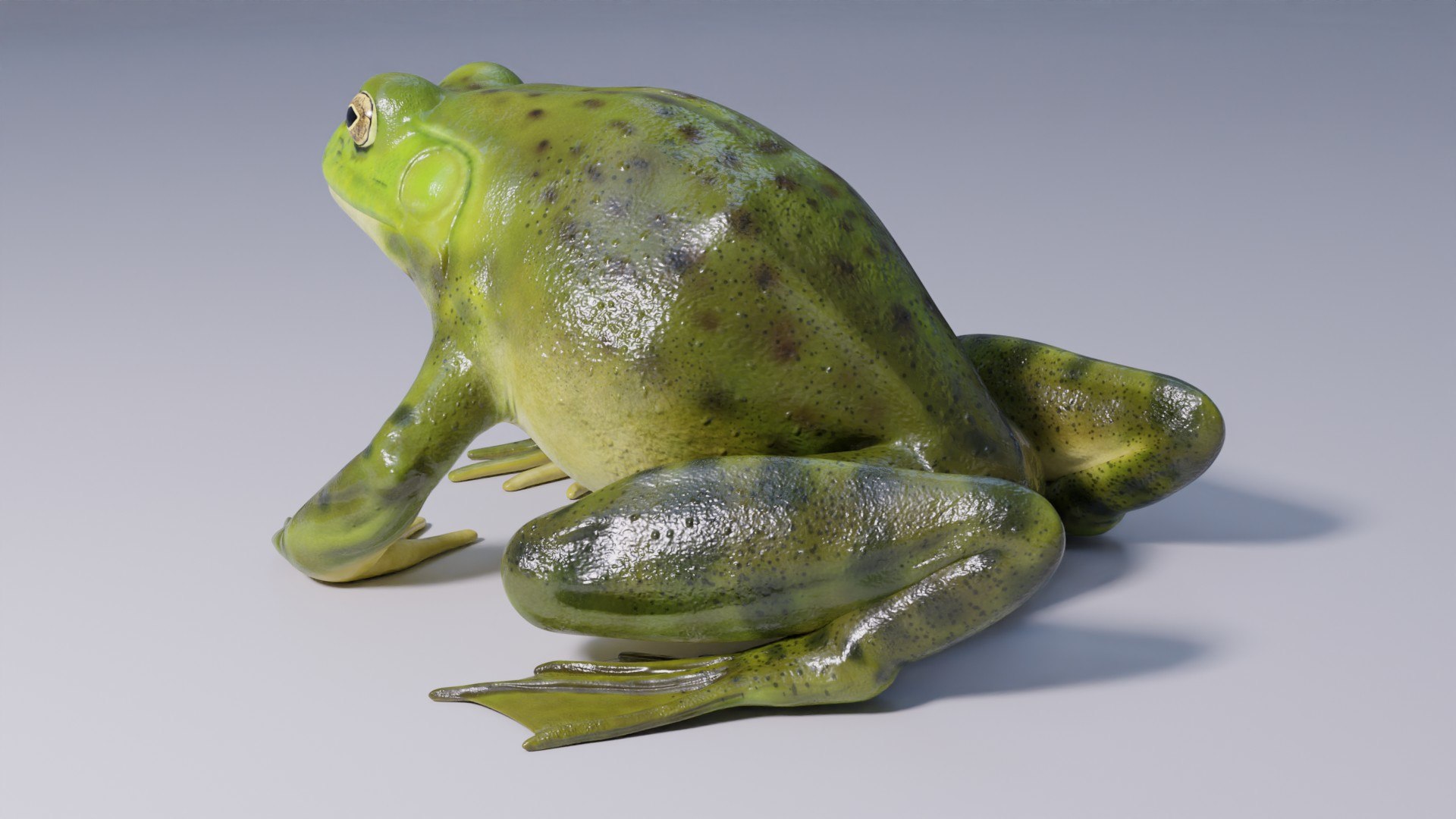 3D Model American Bullfrog - Rigged - TurboSquid 2031775