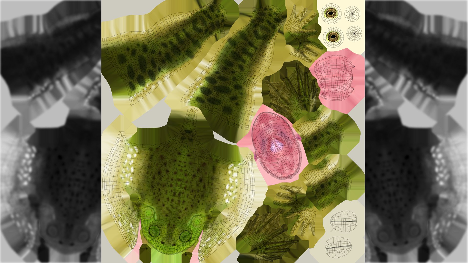 3D Model American Bullfrog - Rigged - TurboSquid 2031775