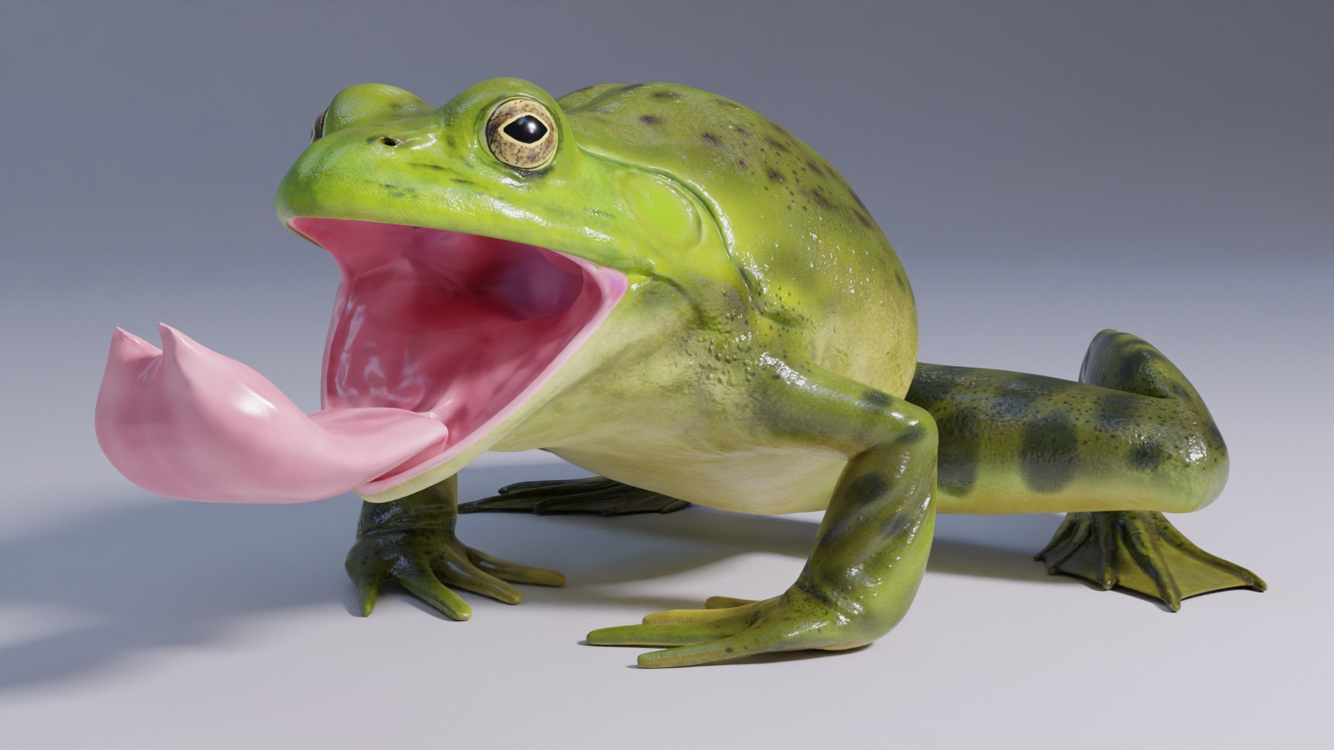3D Model American Bullfrog - Rigged - TurboSquid 2031775