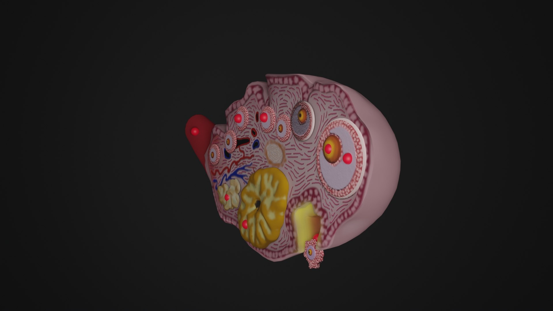 3D Model Human Anatomy-Ovary - TurboSquid 2229931