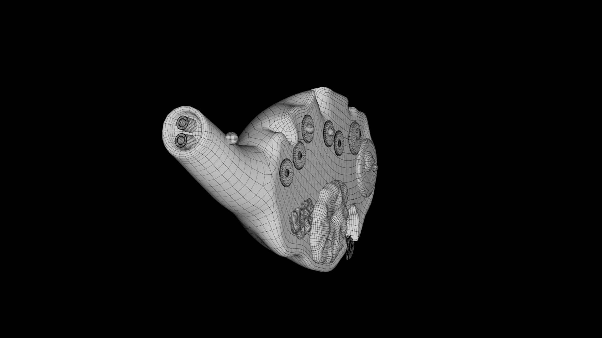3D Model Human Anatomy-Ovary - TurboSquid 2229931