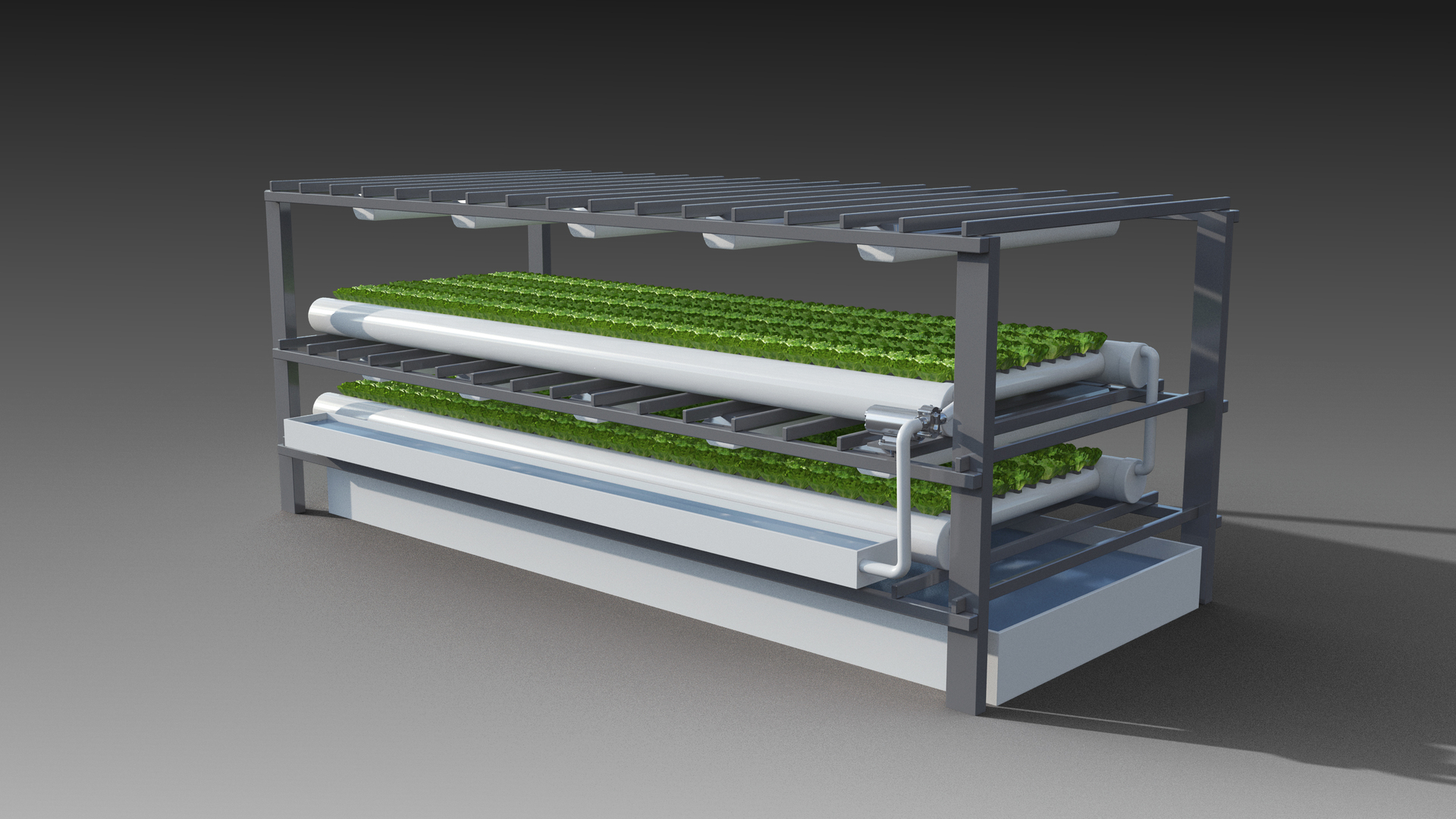 Hydroponics Farm 3D Model - TurboSquid 1531796