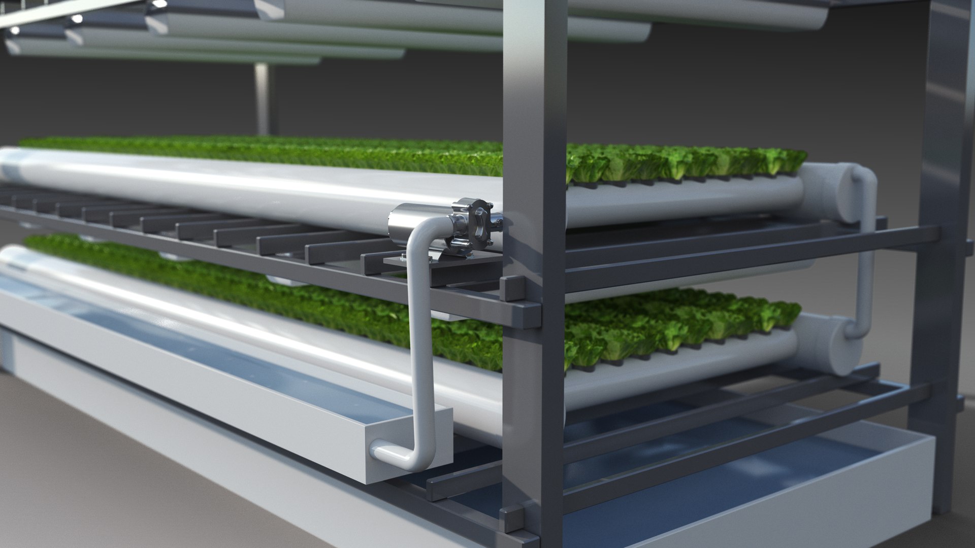 Hydroponics Farm 3D Model - TurboSquid 1531796