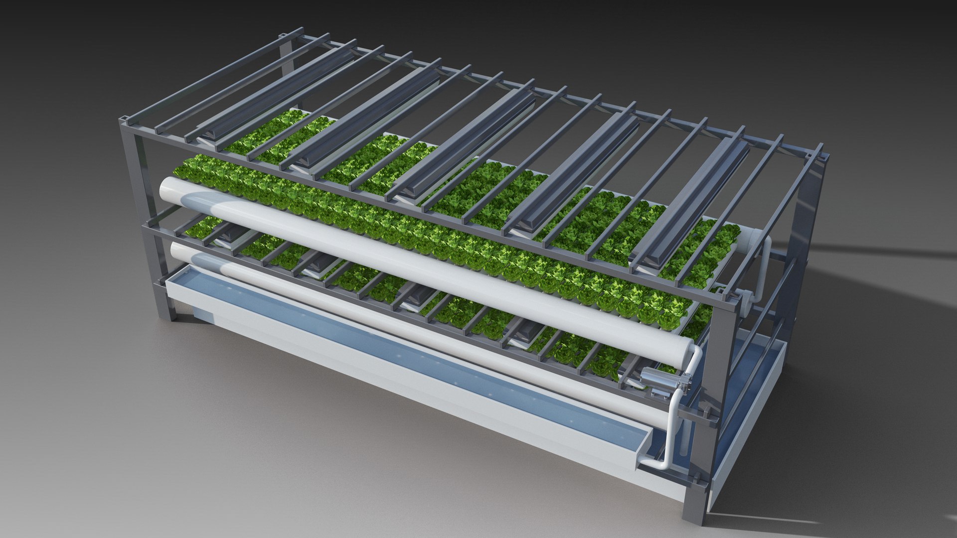 Hydroponics Farm 3D Model - TurboSquid 1531796