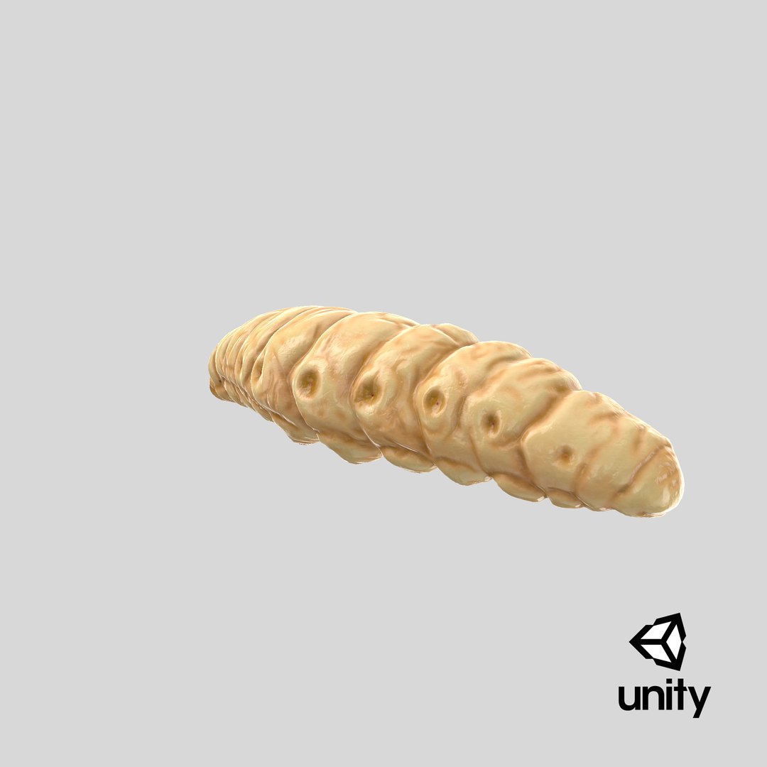 3D maggot crawling model - TurboSquid 1375521