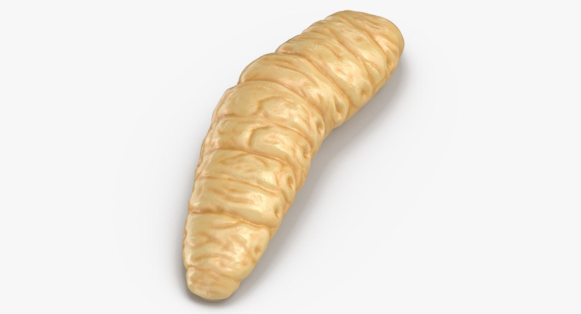 3D Maggot Crawling Model - TurboSquid 1375521