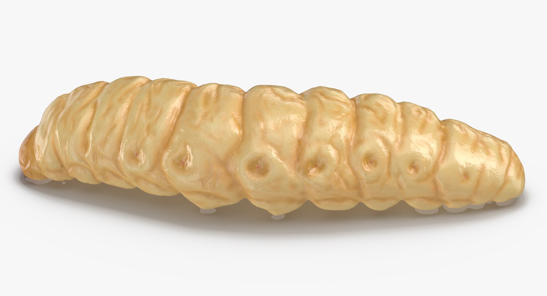 3D Maggot Crawling Model - TurboSquid 1375521