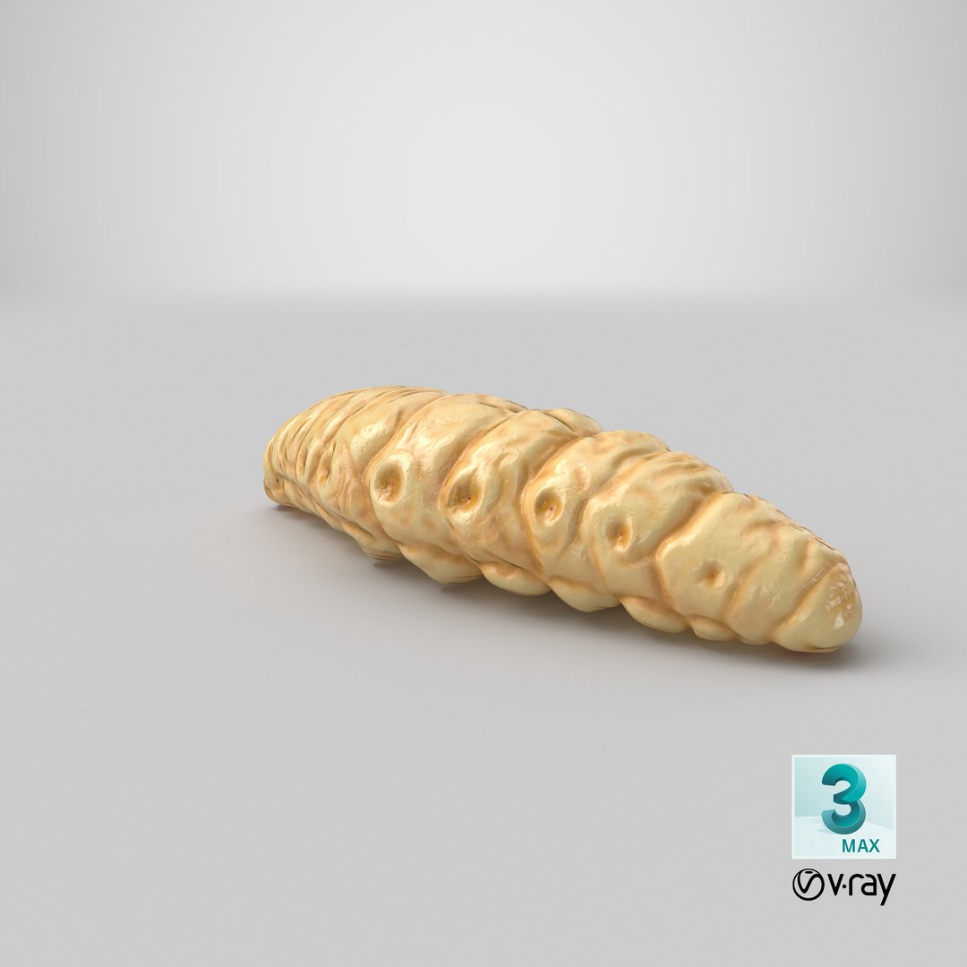 3D maggot crawling model - TurboSquid 1375521